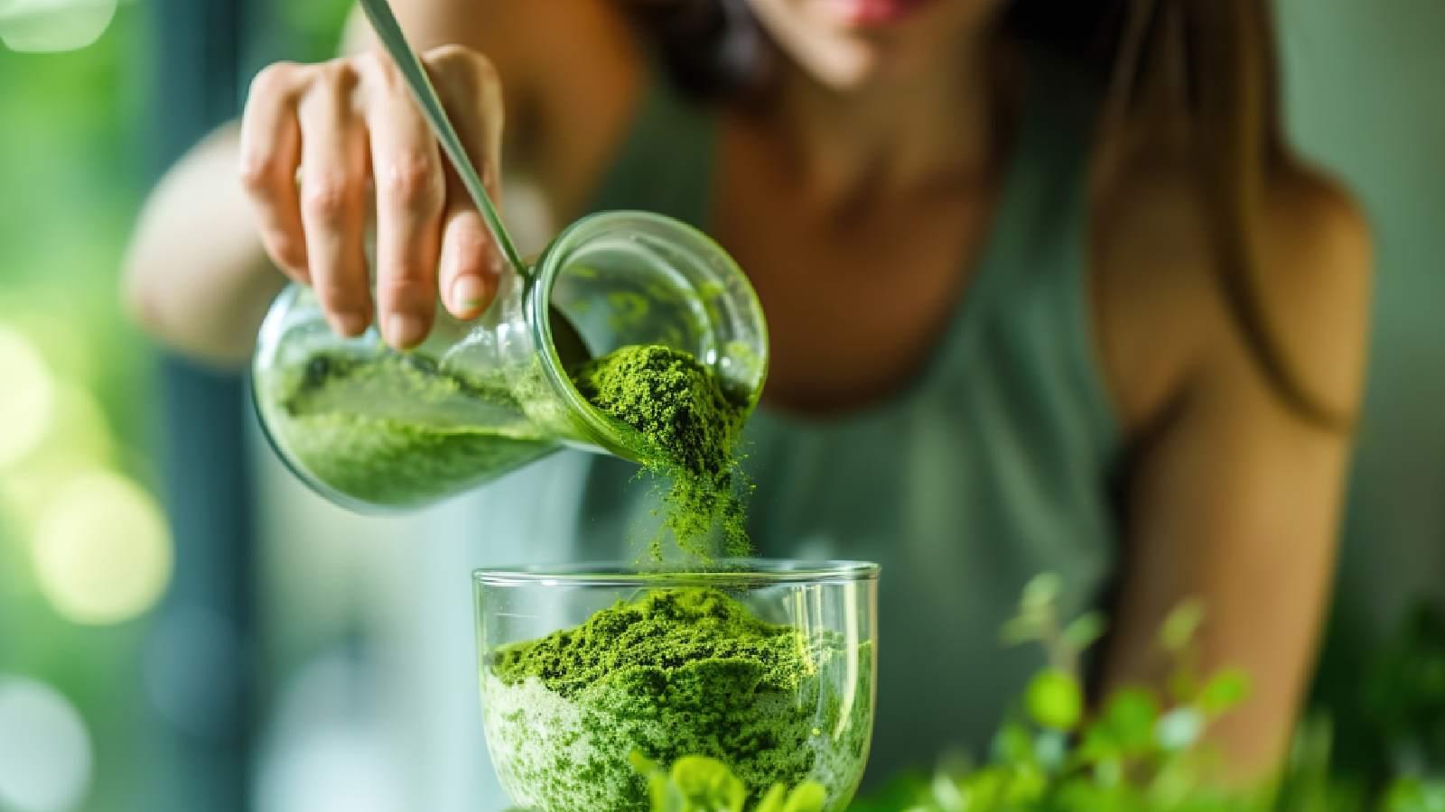 7 best moringa powders for nutritional benefits – Healthy Life Start