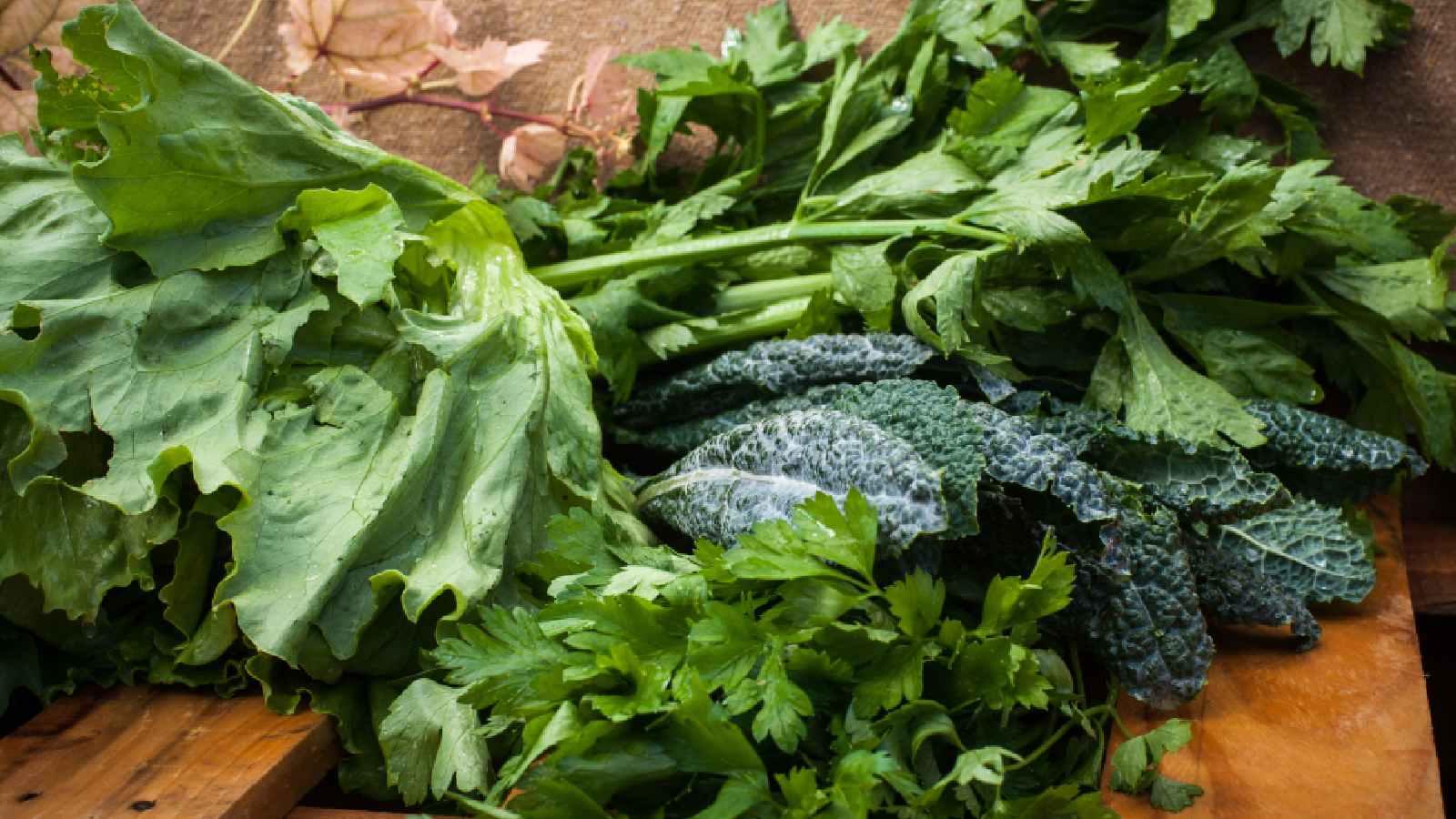 Kale may boost hair growth: Here’s how to use this superfood – Healthy ...