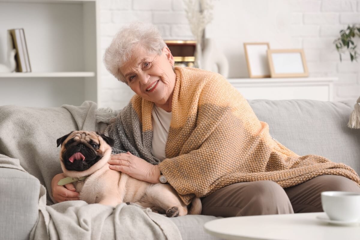 7 Ideal dog breeds for the elderly – Healthy Life Start