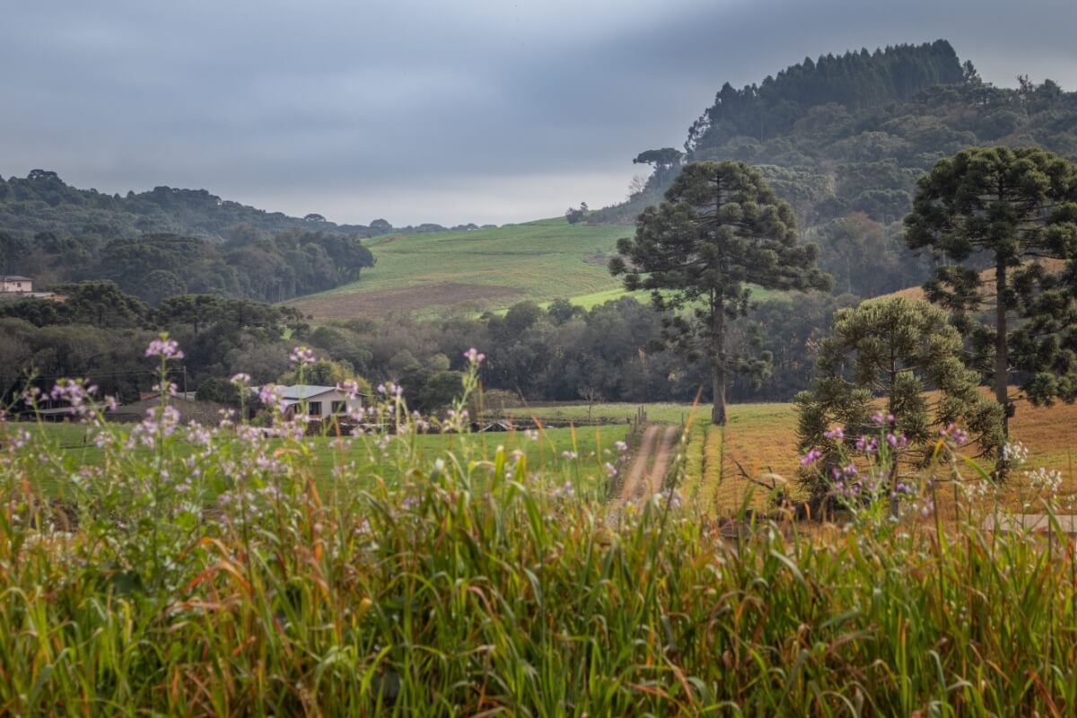 6 destinations to enjoy the cold in Brazil – Healthy Life Start