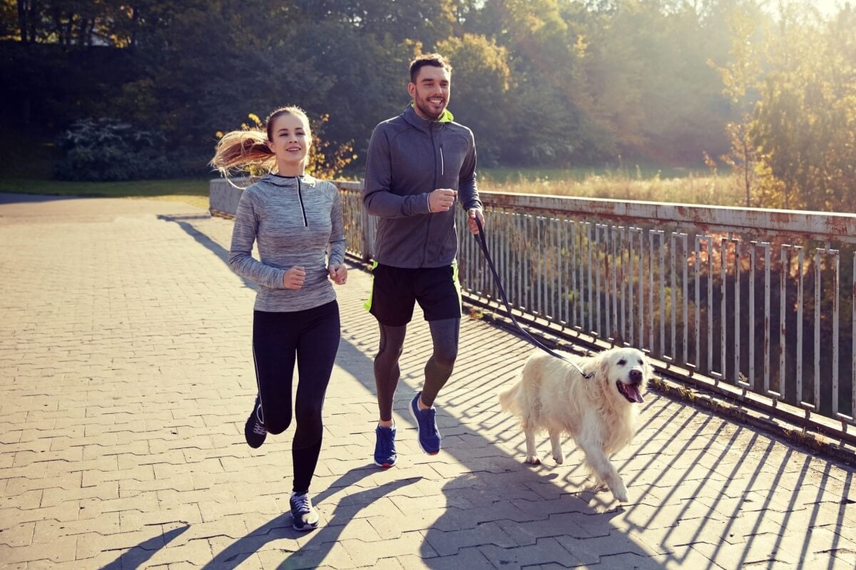 7 physical activities to practice with the dog – Healthy Life Start