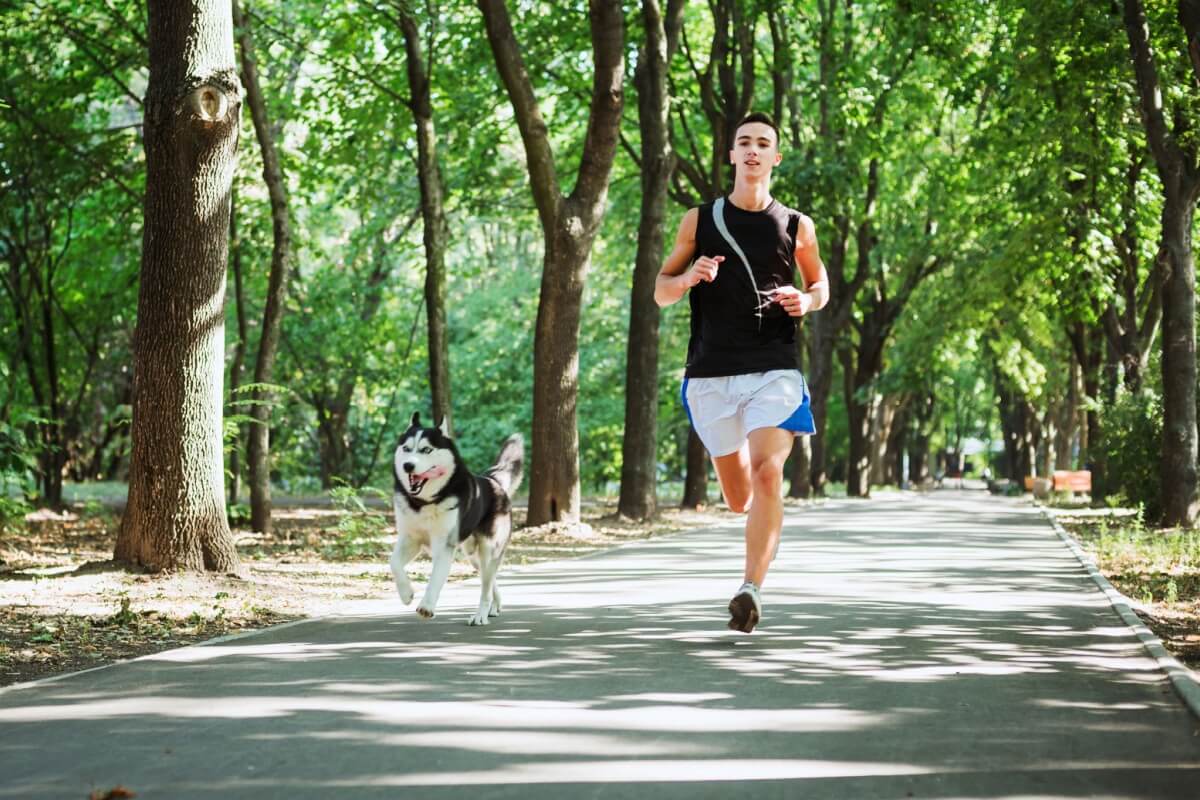 5 Care with animals that practice physical activity – Healthy Life Start