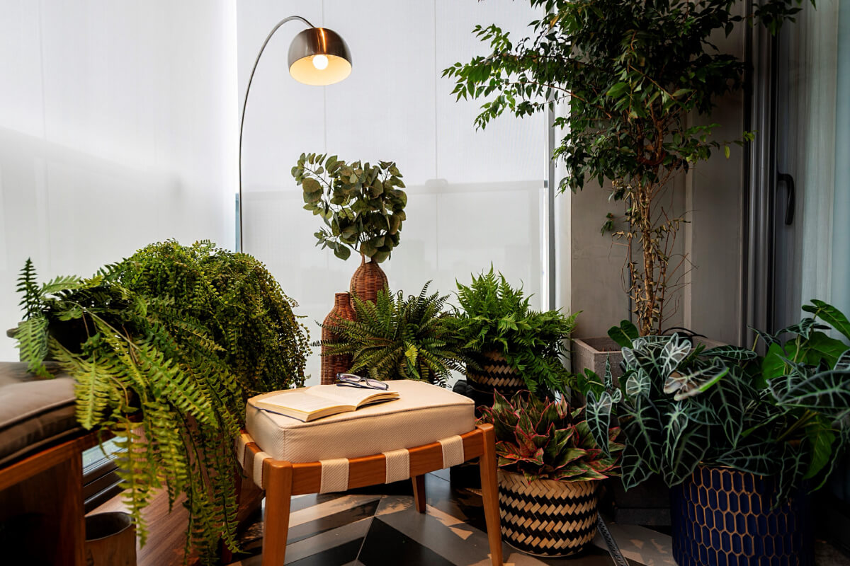How to light up environments with plants: 4 practical tips – Healthy ...