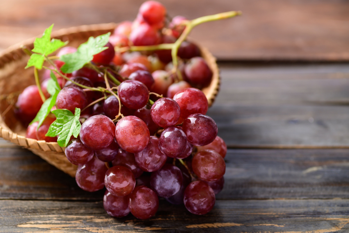 8 health benefits of grapes and ways to consume them – Healthy Life Start