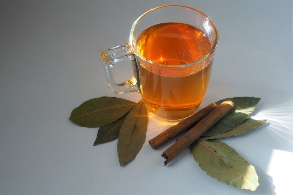 What is bay tea good for? 3 recipes to include in your everyday life ...